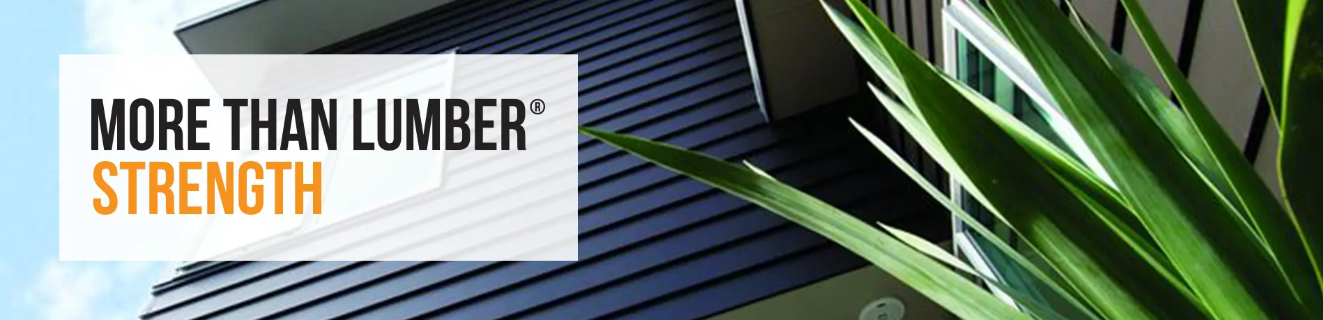 MORE THAN LUMBER - More Than Lumber. Millard Lumber